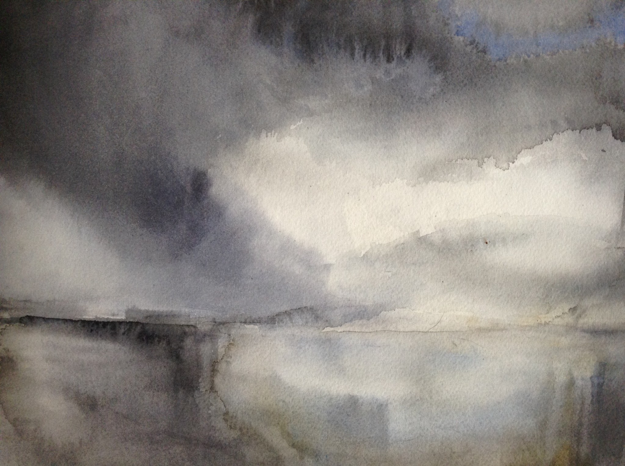 2017 | janine pinion