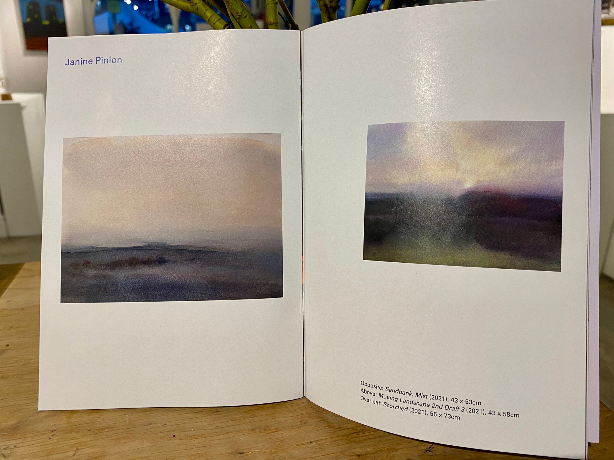 Blog | janine pinion | art & writing